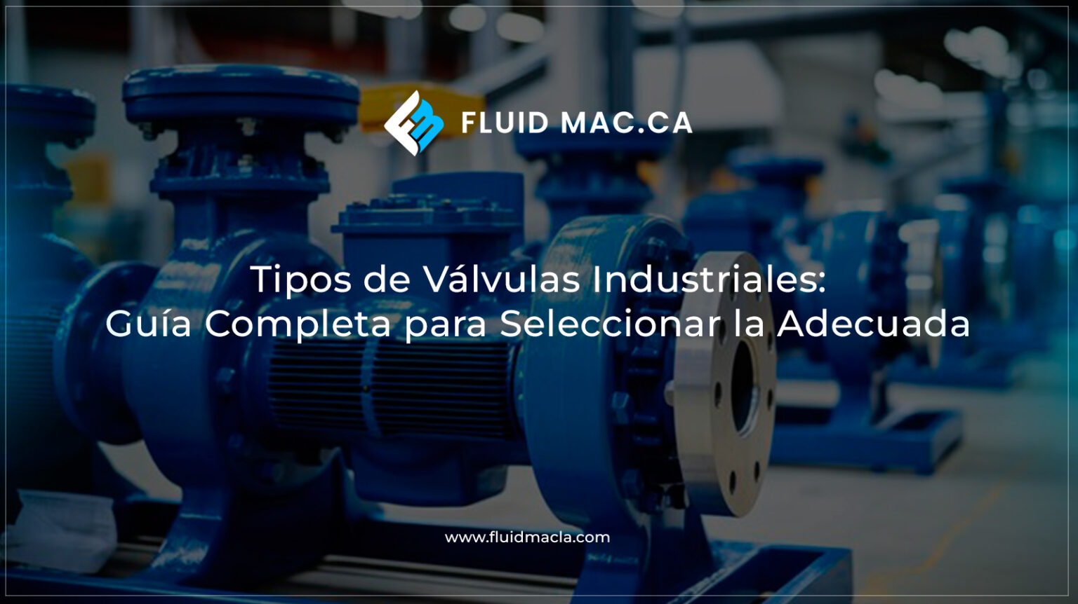 Tipos de Válvulas Industriales: Guía Completa para Seleccionar la ...